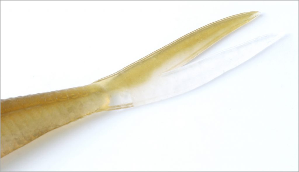FRILLED SHAD | deps OFFICIAL HP | デプス 公式HP